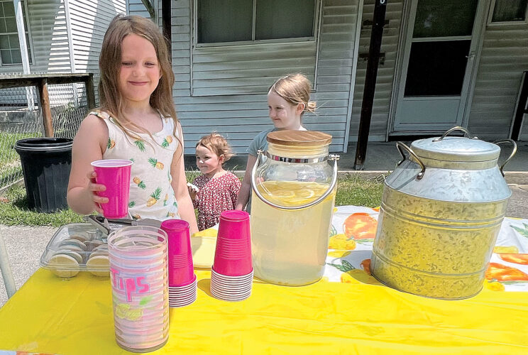 Lemonade on a Hot Summer Day | News, Sports, Jobs - The Intermountain